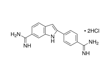 DAPI, 2-(4-Amidinophenyl)-6-indolecarbamidine dihydrochloride, DAPI ...